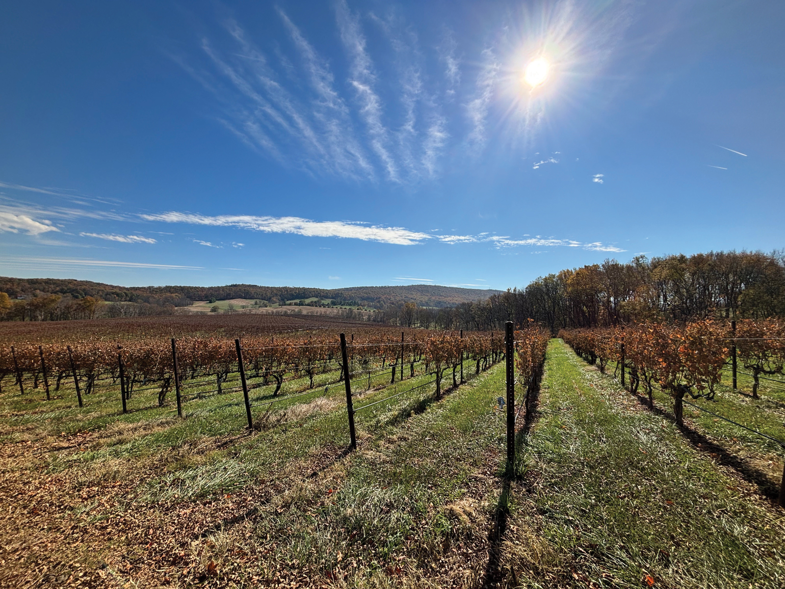 Virginia’s Wine and Cheese: The Ag District - Grit